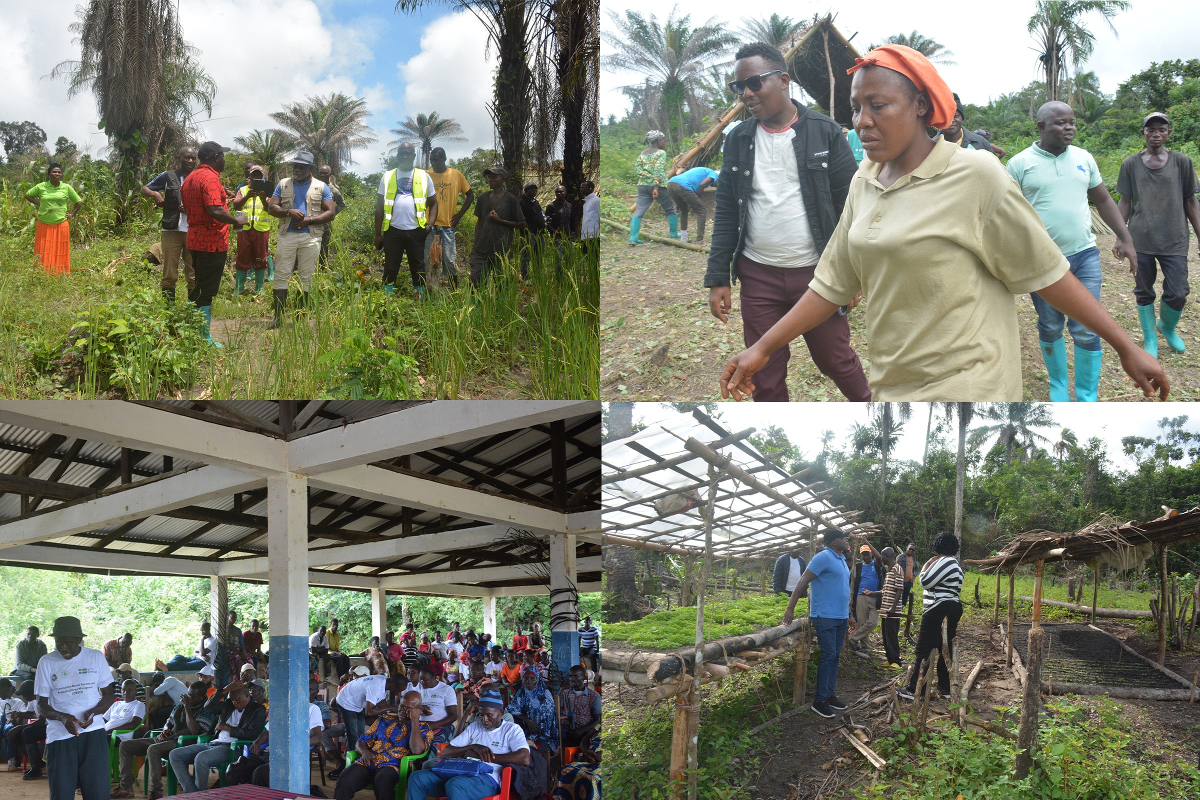 UNDP and Partners Monitor Progress of Community-Based Forestry Project ...
