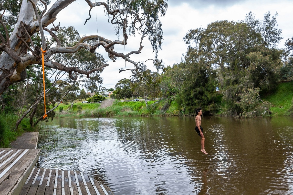 Hunter Water launches major project to restore the Williams River | PMG ...