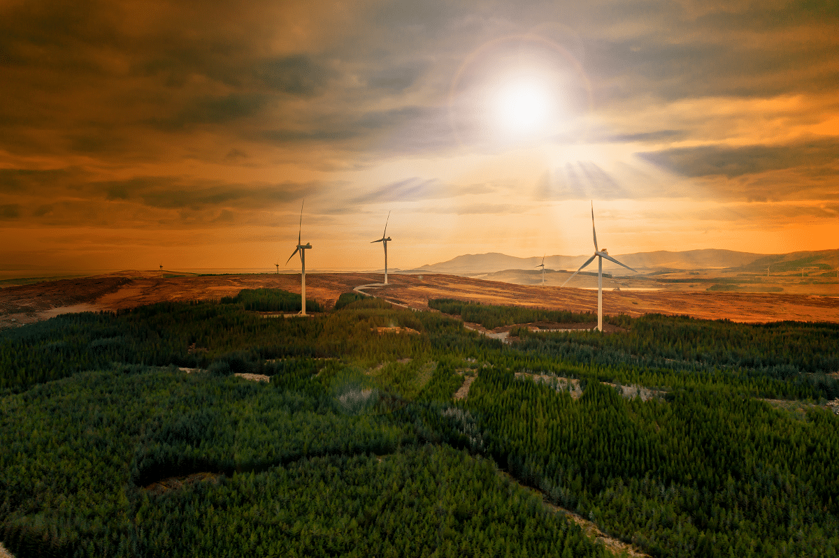 Can Projects Save the Planet? The Green Project Management Report | PMG ...